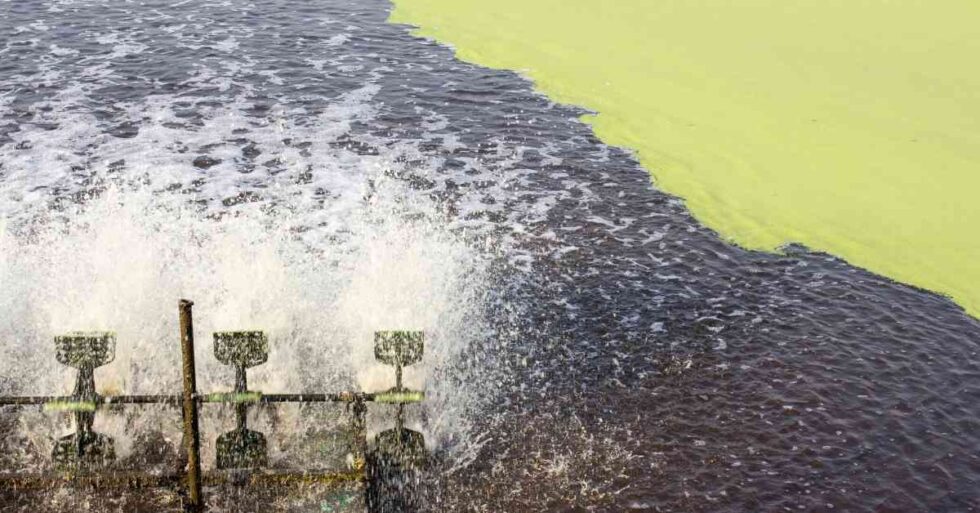 Lagoon Management - Wastewater Trainer